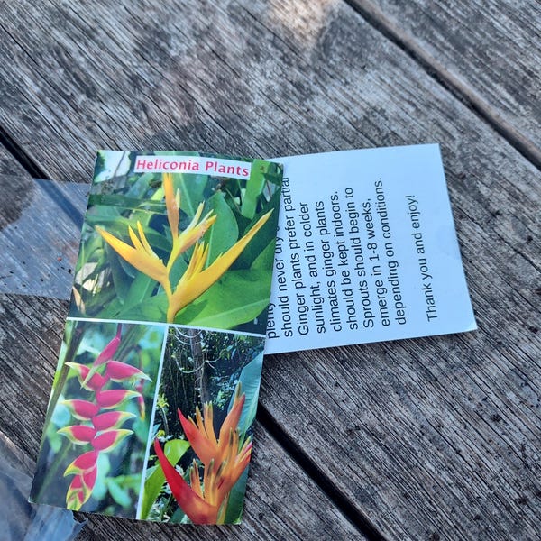 10x Seeds Giant Passionfruit Giant Granadilla, Rare, Exotic, Delicious ...