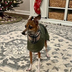 Italian Greyhound Quilted Waterproof Winter Coats,cirneco Dell'etna ...