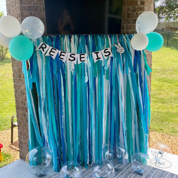 Shark Fringe Backdrop, Streamer Backdrop, Bright Backdrop, Birthday ...