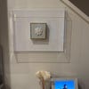 Coastal Intaglio Art on 6X6 or 5X7 Canvas, Coral, Shells or Sand Dollar ...