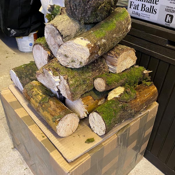 Natural Silver Birch Hardwood Round Log Slices Rustic Green Hard Wood ...