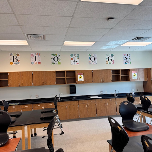 Science Poster Microbiology Poster Microbiology Art Bacteria Types ...