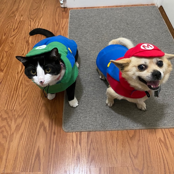 Luigi Dog Costume: Flannel Mario Kart Halloween Outfit - Etsy