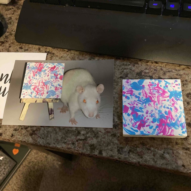 RatPaintings on Etsy