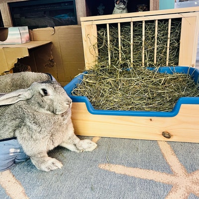 Large EZ Entry 2.0 Hop Box: Rabbit Bunny Easy Entry Hay Feeder and ...