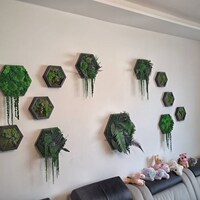 Hexagon Moss Wall Art Moss Wall Decor Preserved Moss Art Framed Moss ...