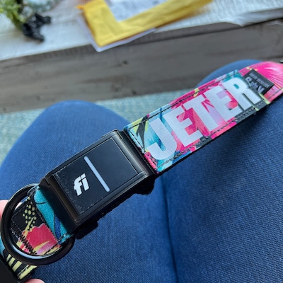 Fi Series 2 Collar Adapter - Etsy