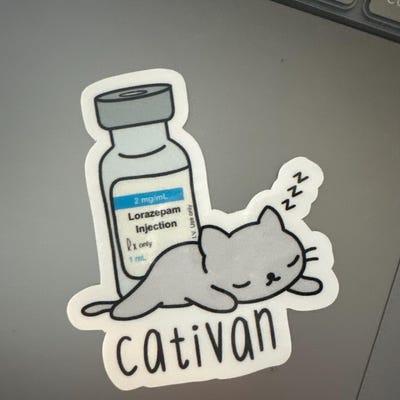 Physics Stickers for Student, Funny Science Stickers, STEM Student ...