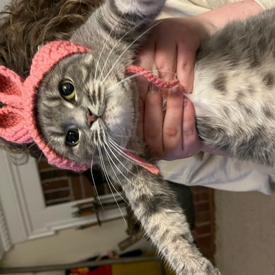 Bunny Cat Hat, Mint Bunny Hat, Rabbit Ears Cat Hat, Easter Cat Hat, Hat ...