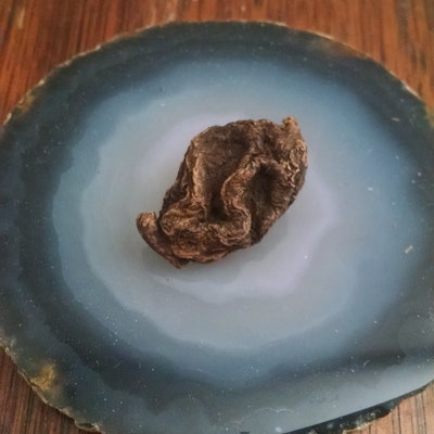 High John Root - Etsy