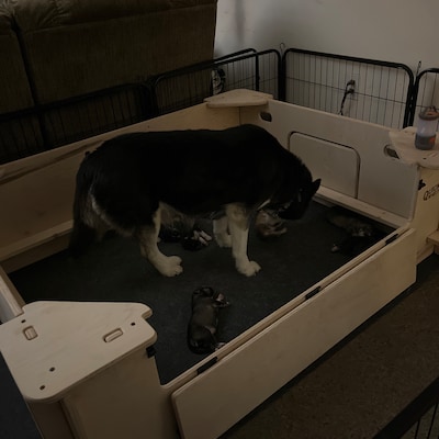 Whelping Box, Weaning Box, EXTRA LARGE, Dog/puppy Pen, Quickwhelp - Etsy