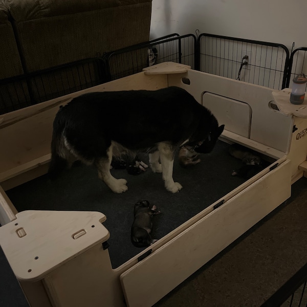 Whelping Box, Weaning Box, EXTRA LARGE, Dog/puppy Pen, Quickwhelp - Etsy