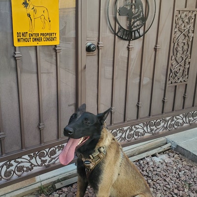 Bouvier Des Flandres Dog Aluminum Sign: 9x12, or 12x18 - Etsy