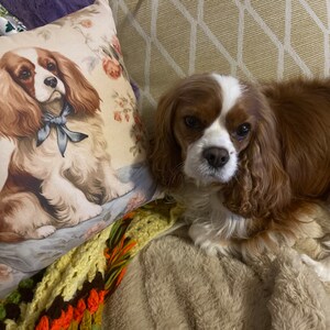 Whimsy Puff Hedgehog Pillow, Cottagecore Charm, Sage Floral Hedgehog ...