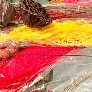 Bleaching White Protea Flower Ballspreserved Protea Stemsdry - Etsy