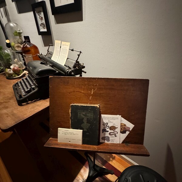 100 Vintage Library Catalog Cards, Random Assortment | Authentic ...