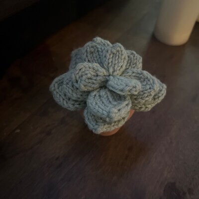 PATTERN PDF: Knitting Pattern Digital Download Succulent Plant, Home ...