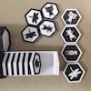 Hive Colony Tabletop Game - Includes Hive Original + Expansions, Venom ...