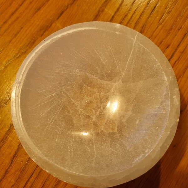 Crow - CORVUS - Kraai , LUXURY Mini Dome - Heketa - Etsy