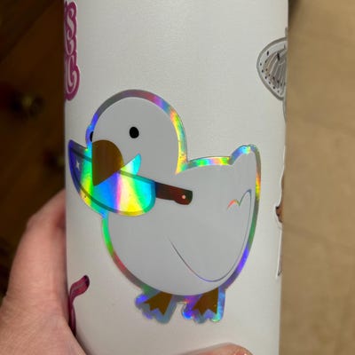 Confused Blob Fish in a Bottle Clear Acrylic Waterproof Sticker - Etsy