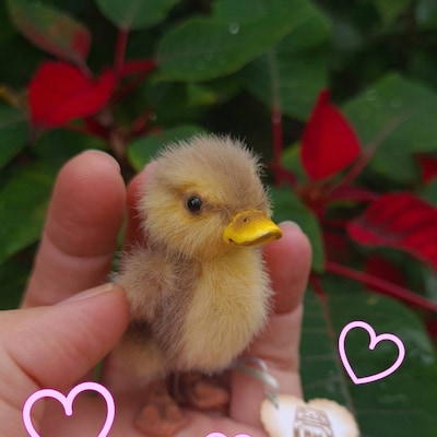 Miniature Plush Duck Realistic Bird Duckling Decoration Artist Duck ...