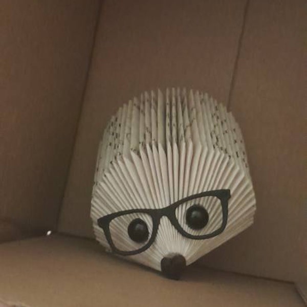 Small Paperbook Hedgehog - Etsy UK