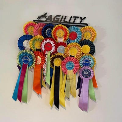 Personalised Horse Show Award Ribbon Display Holder Equestrian Rosette ...