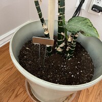 Match Strike Paper 8.5 X 11 Scored Sheet 2 X .5 Adhesive Strips - Etsy