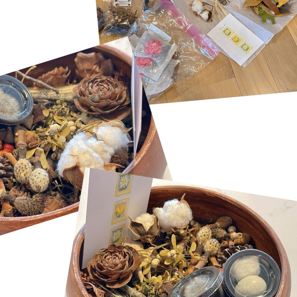 Lg Forest Findings Collection, Dried Botanicals, Forest Decor ...