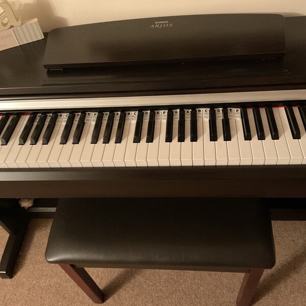 The Piano Rake (piano Guide) | Learn Notes Instantly | Ultimate ...