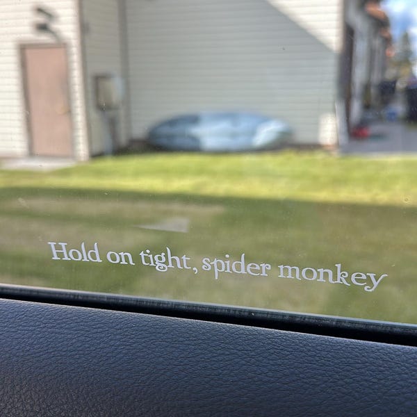Hold on Tight, Spider Monkey - Twilight Visor Mirror Vinyl Decal - Etsy