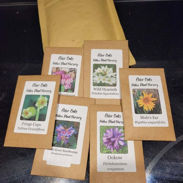 Checker/chocolate Lily (fritillaria Affinis) ~ 100 Seeds *pacific ...
