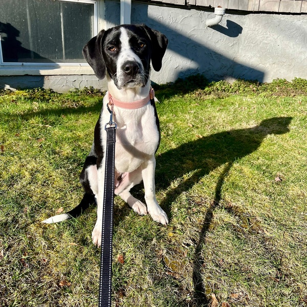 Pink Dog Leash, Herringbone Dog Leash, Girl Dog Leash, 6 Ft Pet Leash ...