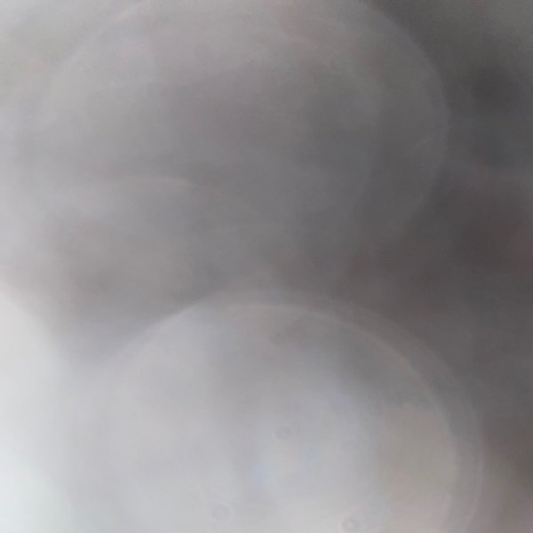 Stay Gold- Iron on Patch - Etsy