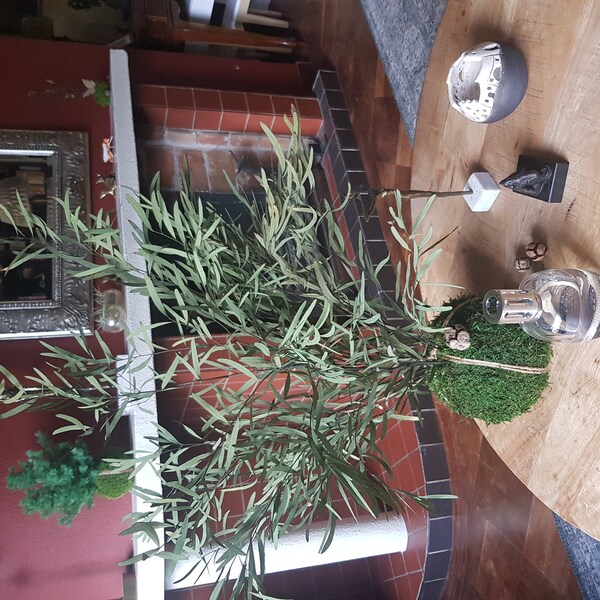 Mini Moss Wall Art in Miniature Embroidery Hoop Long Lasting Eco Gift ...