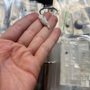 Human Skeleton HO Scale 1:87 Miniature for Horror Diorama, Dollhouse ...