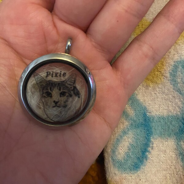 Custom Royal Cat Portrait, Personalized Dog Portrait From Photo, Pet ...