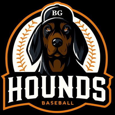 Winged Baseball Logo & Name in Font Personalized Team Mascot Team Name ...