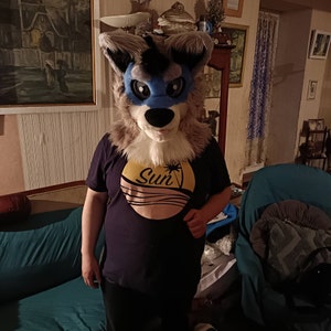 Fennec Fox Fursuit Partial Fox Fursuit Head Premade Fursuit - Etsy