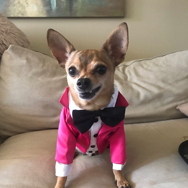 Dog Outfit, Designer Dog Clothes, Dog Wedding Attire,dog Ring Bearer ...
