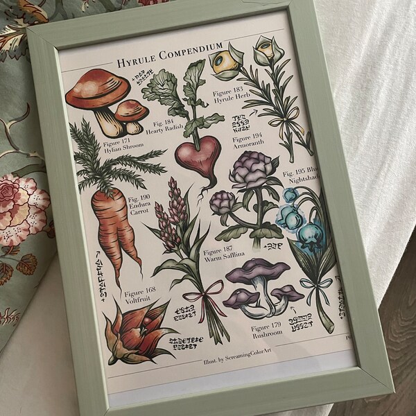 Hyrule Compendium Breath of the Wild Tears of the Kingdom Botanical ...