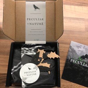 Framed Magpie Skull 3D Gothic Wall Art Halloween Home Decor | Etsy