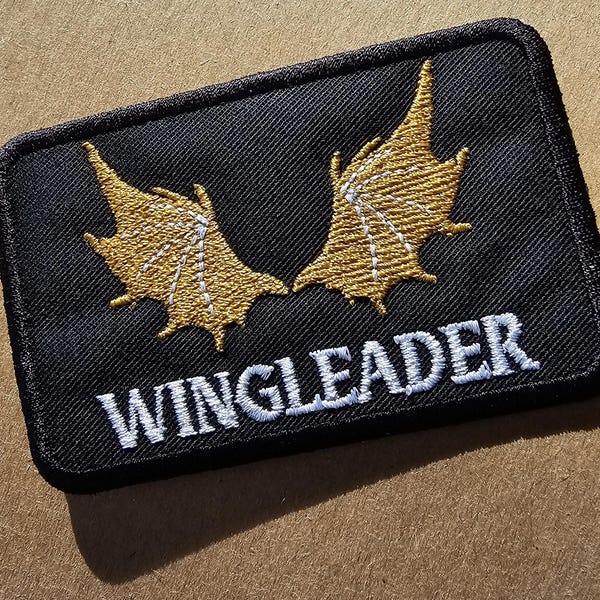 Fourth Wing Embroidered Patch, Flight Jacket Cosplay Patches, Dragon ...