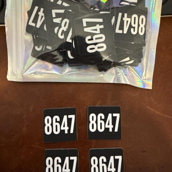 RISE UP Protest Stickers Pack – 1 Inch Mini Vinyl Decals for Activists ...