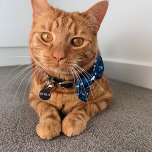 Coco & Pud Windflower Cat Harness | Etsy