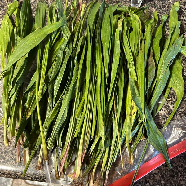 Colorful Camouflage/chinese Characters Lycra Nylon Spandex 4 Way ...