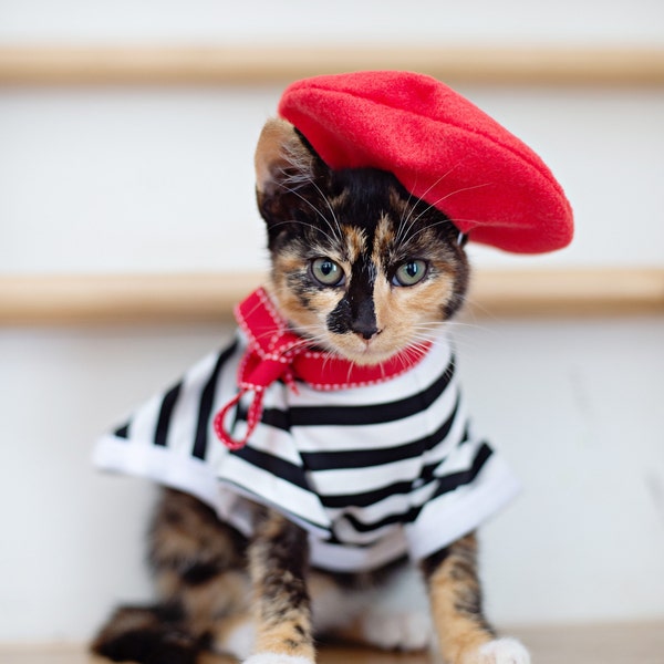 Complete French Cat Outfit- Cat Beret, Ascot and Striped Shirt Pet ...