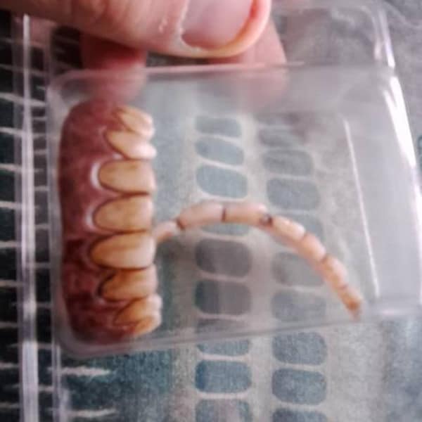 Terrifying Teeth/ Horror Clown FX Smile / Movie Teeth / Clown ...