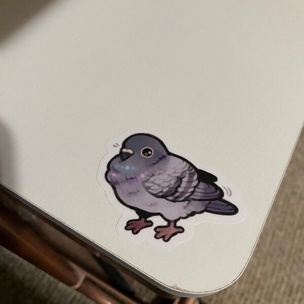 Fluffy Pigeon Sticker / Bird Water Bottle Sticker / Cute Bird Laptop ...