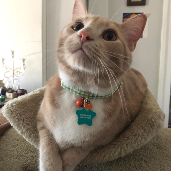 Clementine Cat Collar, Green Gingham Cat Collar With Clementine Charm ...